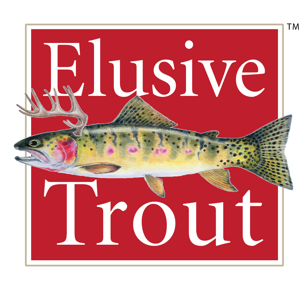 Earth's Rarest Trout Poster – The World's Most Elusive Trout